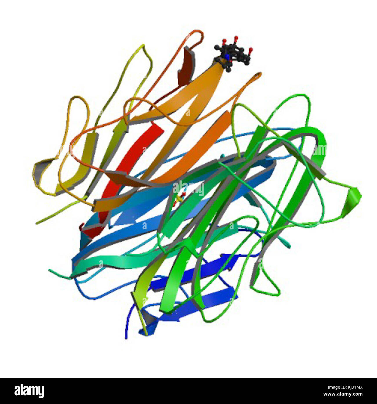 Human protein structures hi-res stock photography and images - Alamy