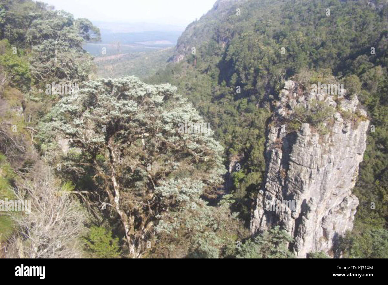 Pinacle Stock Photos & Pinacle Stock Images - Alamy