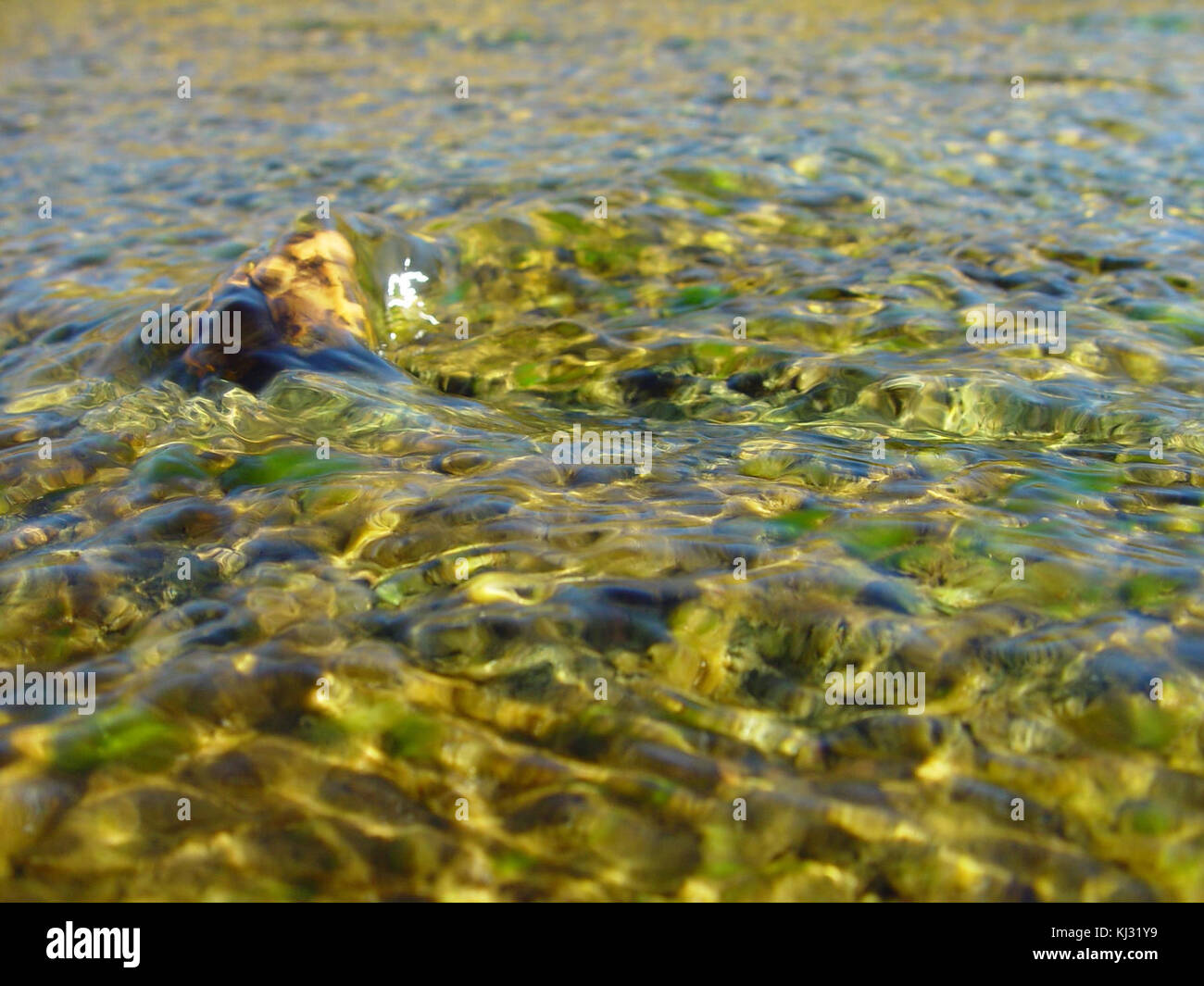 Pebble stream water feature hi-res stock photography and images - Alamy