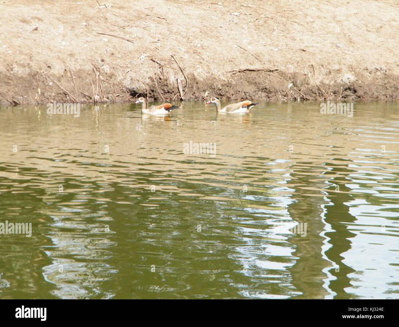 15801 hi-res stock photography and images - Alamy