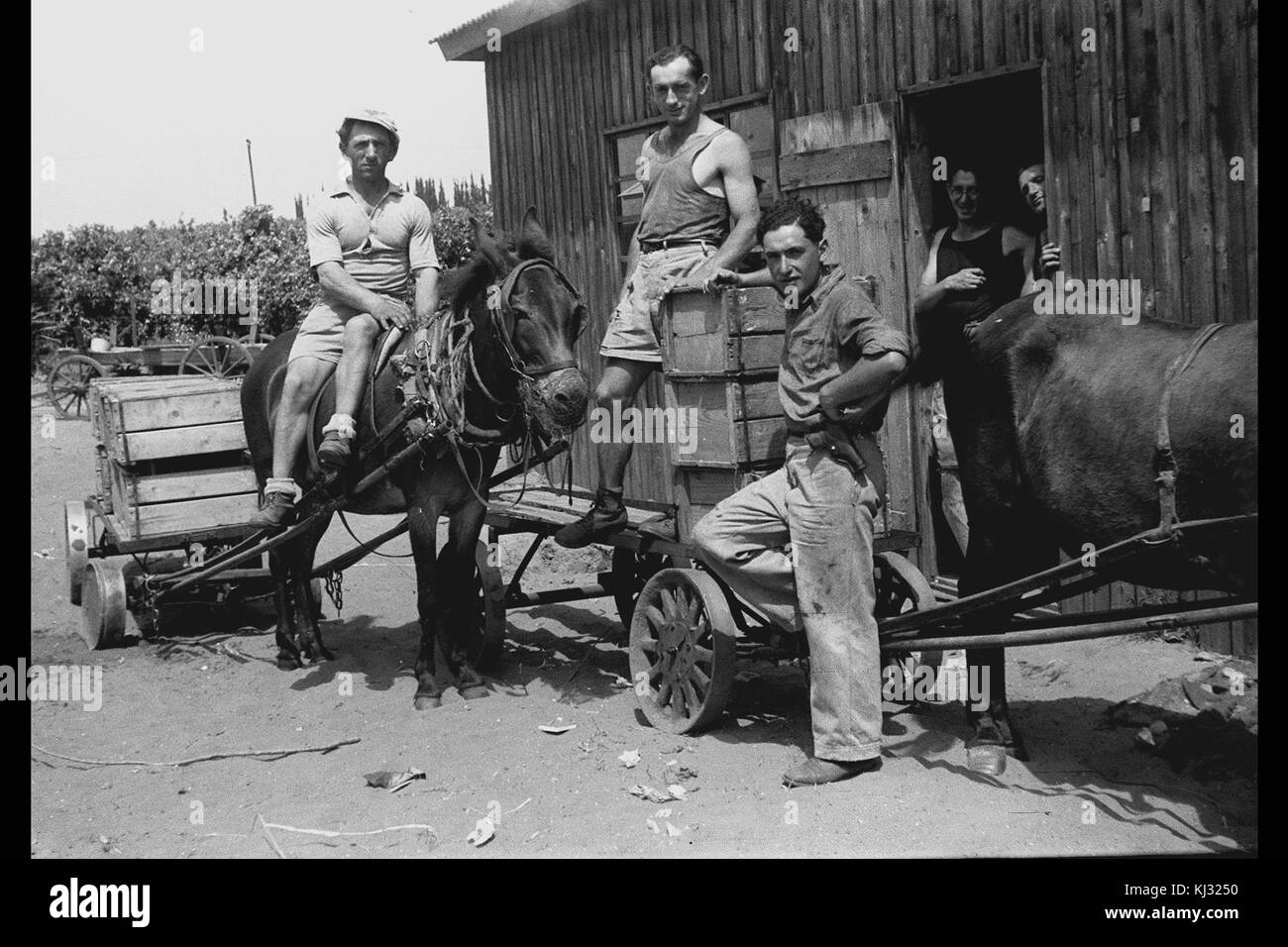 The image depicts workers in Kfar Saba, Israel, likely engaged in ...