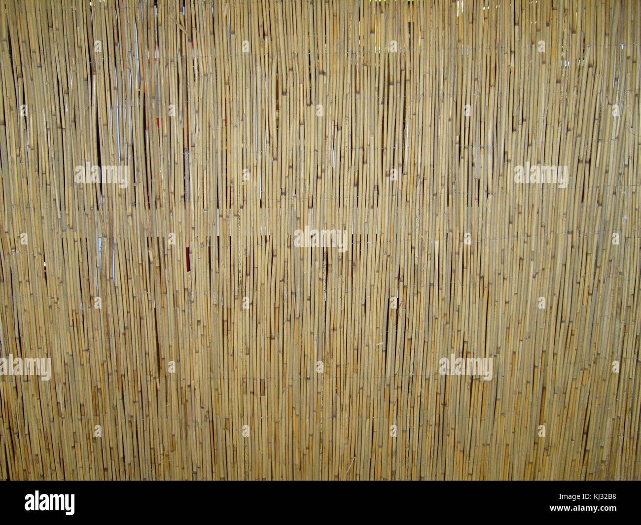 Reed rushmat rush mat Stock Photo - Alamy