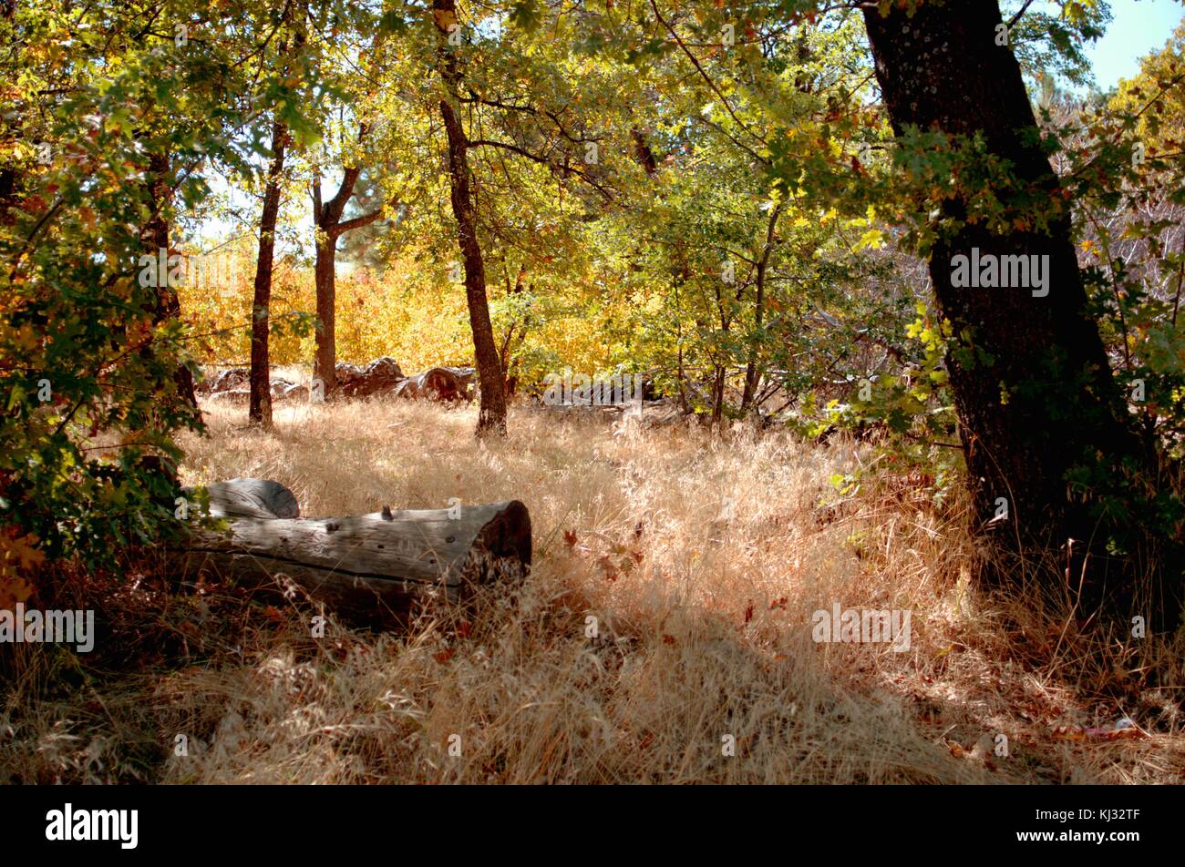 Earth Portal Official Stock Photo - Alamy