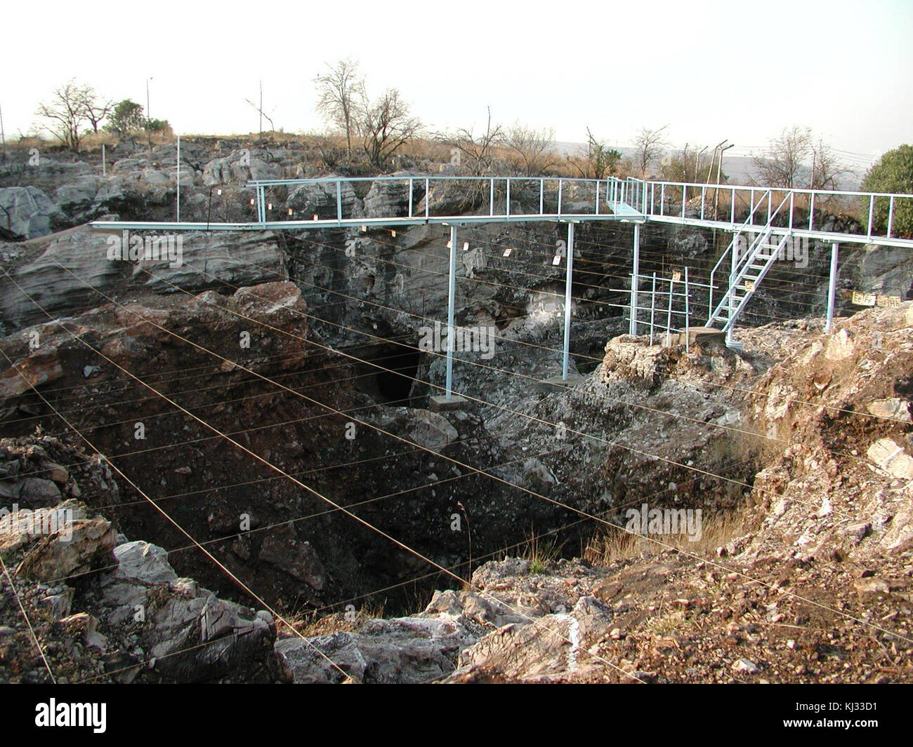 Sterkfontein is a cave system in South Africa, famous for its rich ...