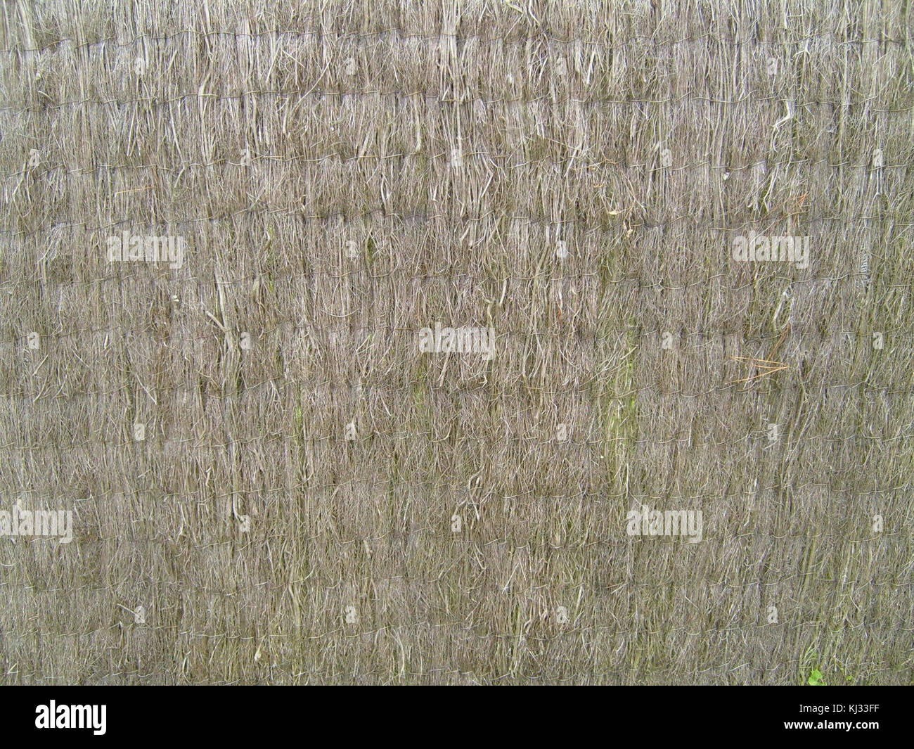 Reed mat hi-res stock photography and images - Alamy