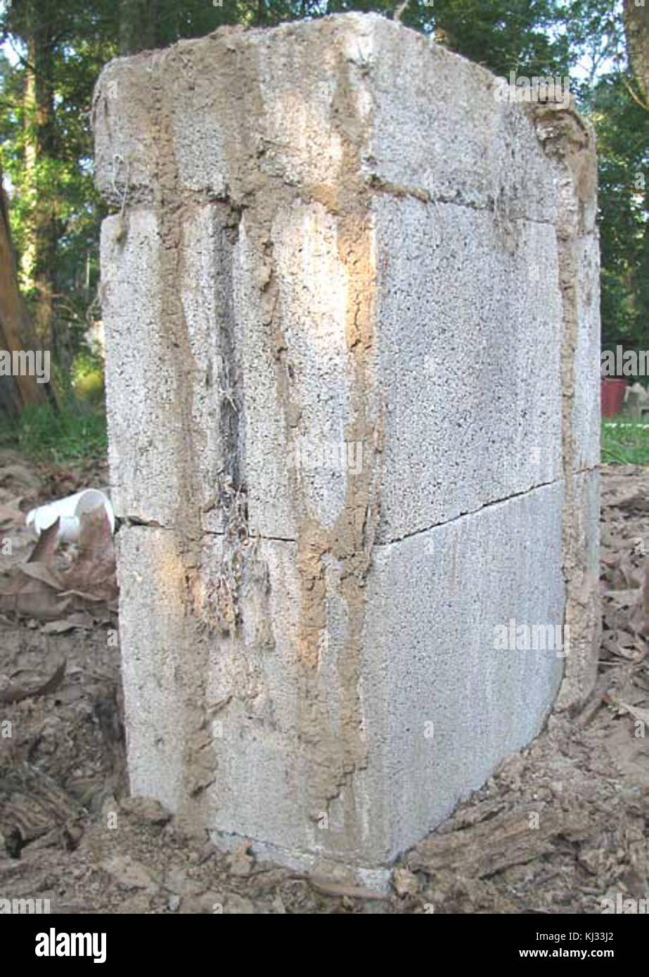 Termite tubes hi-res stock photography and images - Alamy