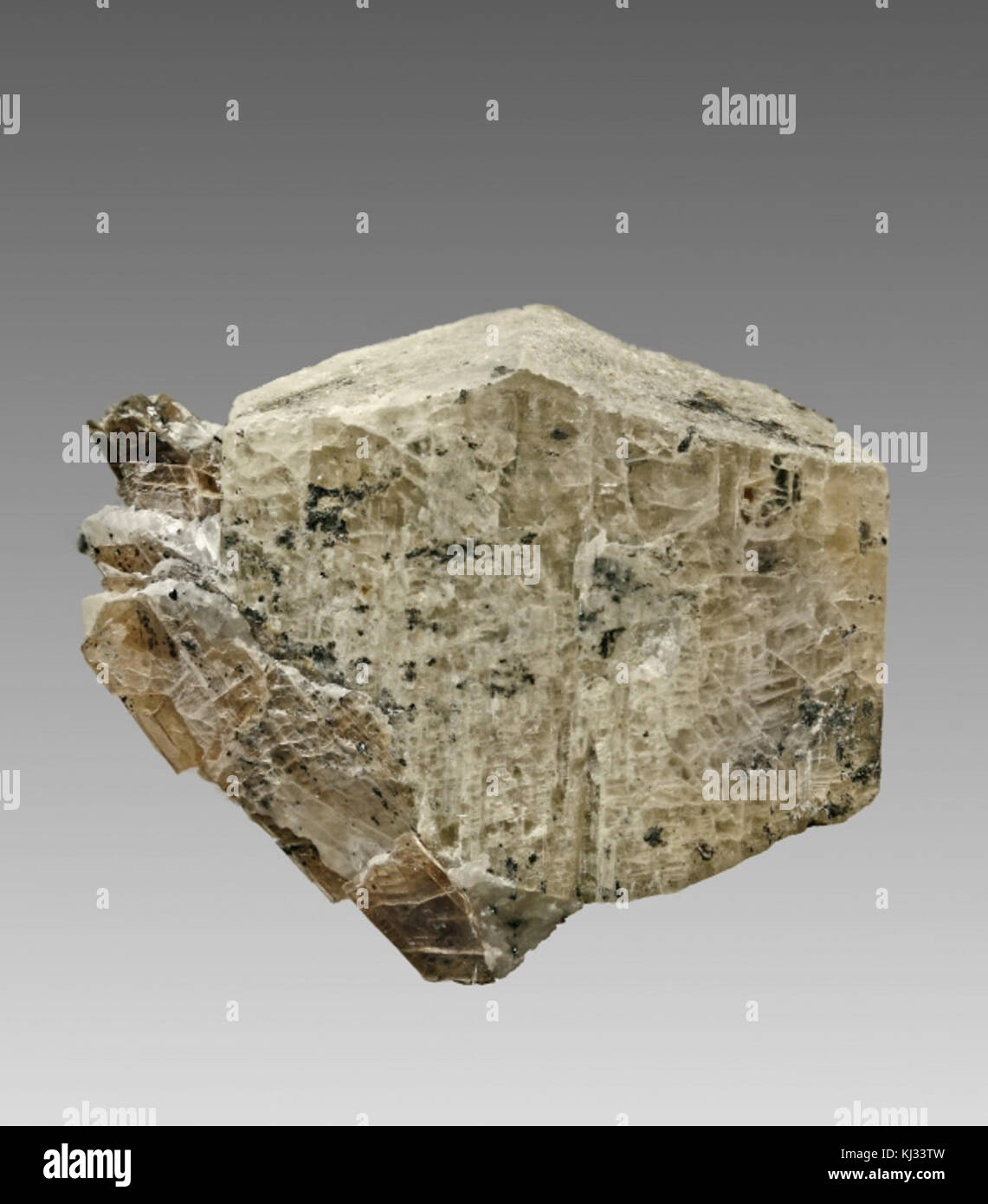 Tremolite Stock Photos & Tremolite Stock Images - Alamy