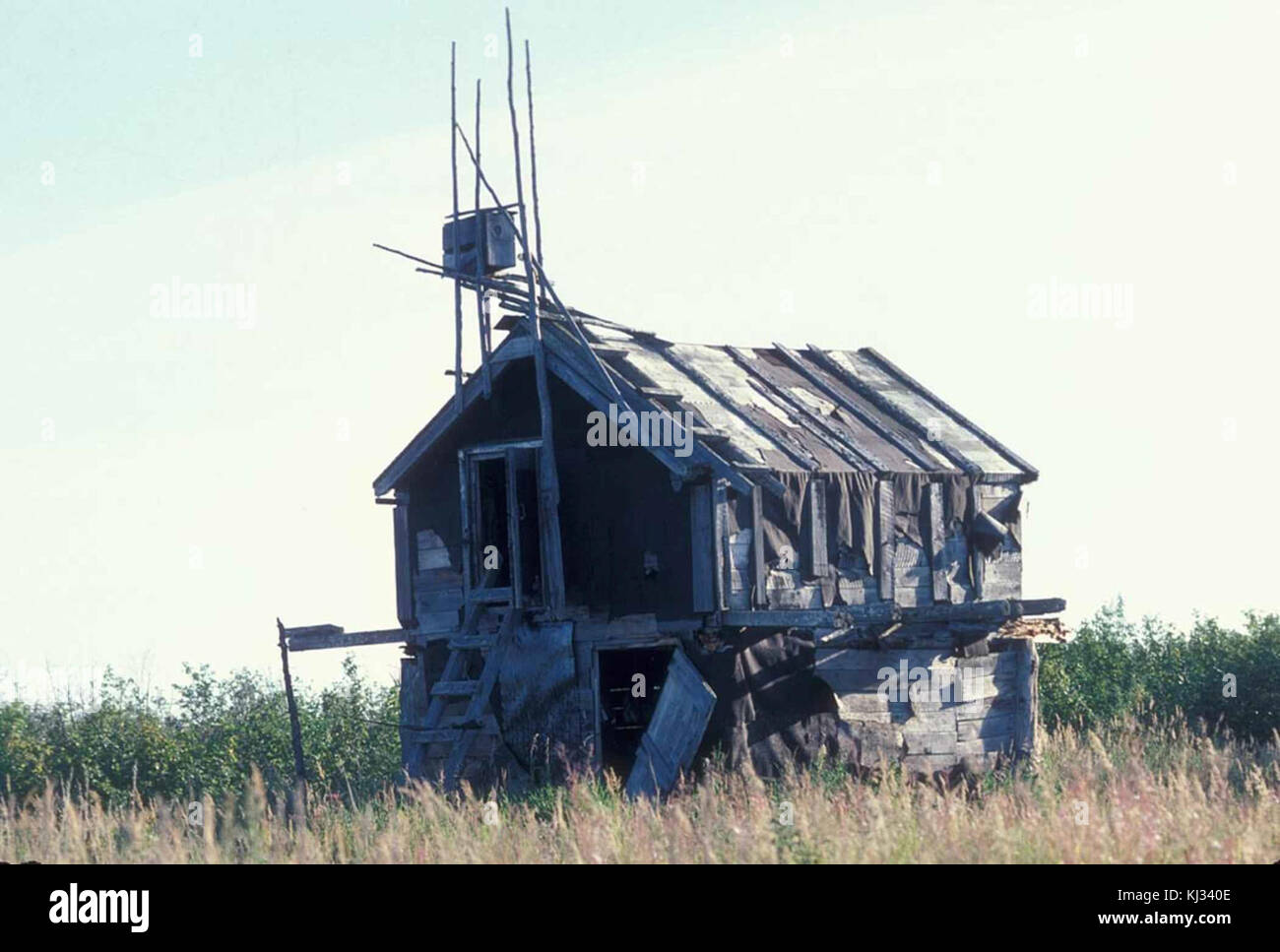 A standing wooden cache refers to a storage structure made of wood ...