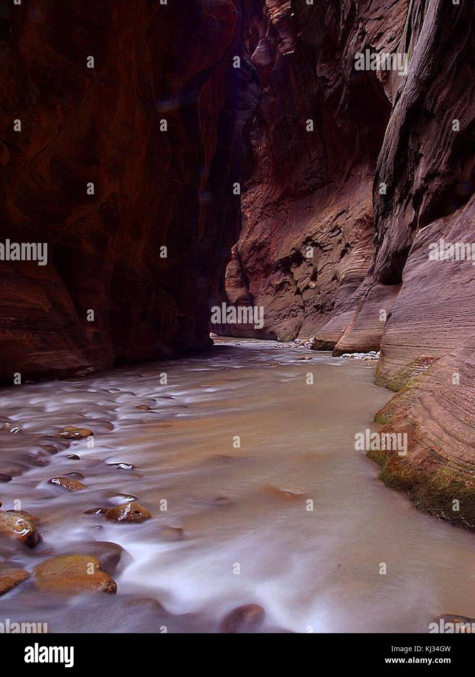 Zion narrows streams virgin river Stock Photo - Alamy