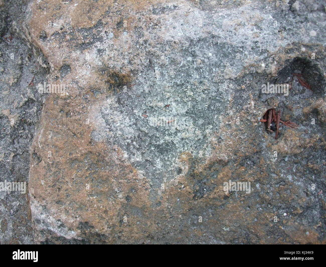 A natural formation known as the 'Rock of Seashells,' featuring ...