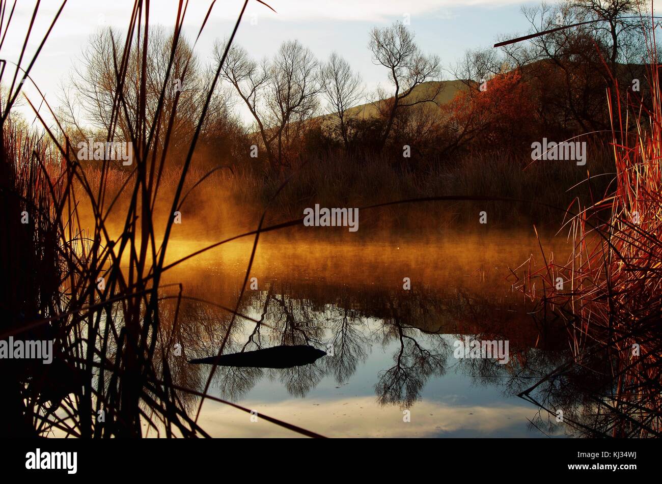 Earth Portal Official Stock Photo - Alamy