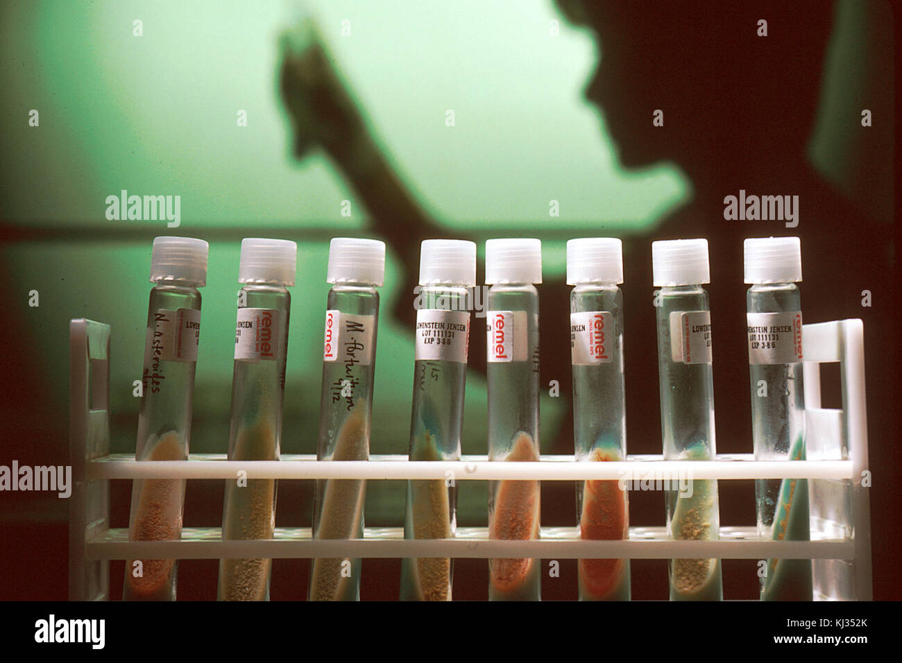 Test tubes (1 Stock Photo - Alamy