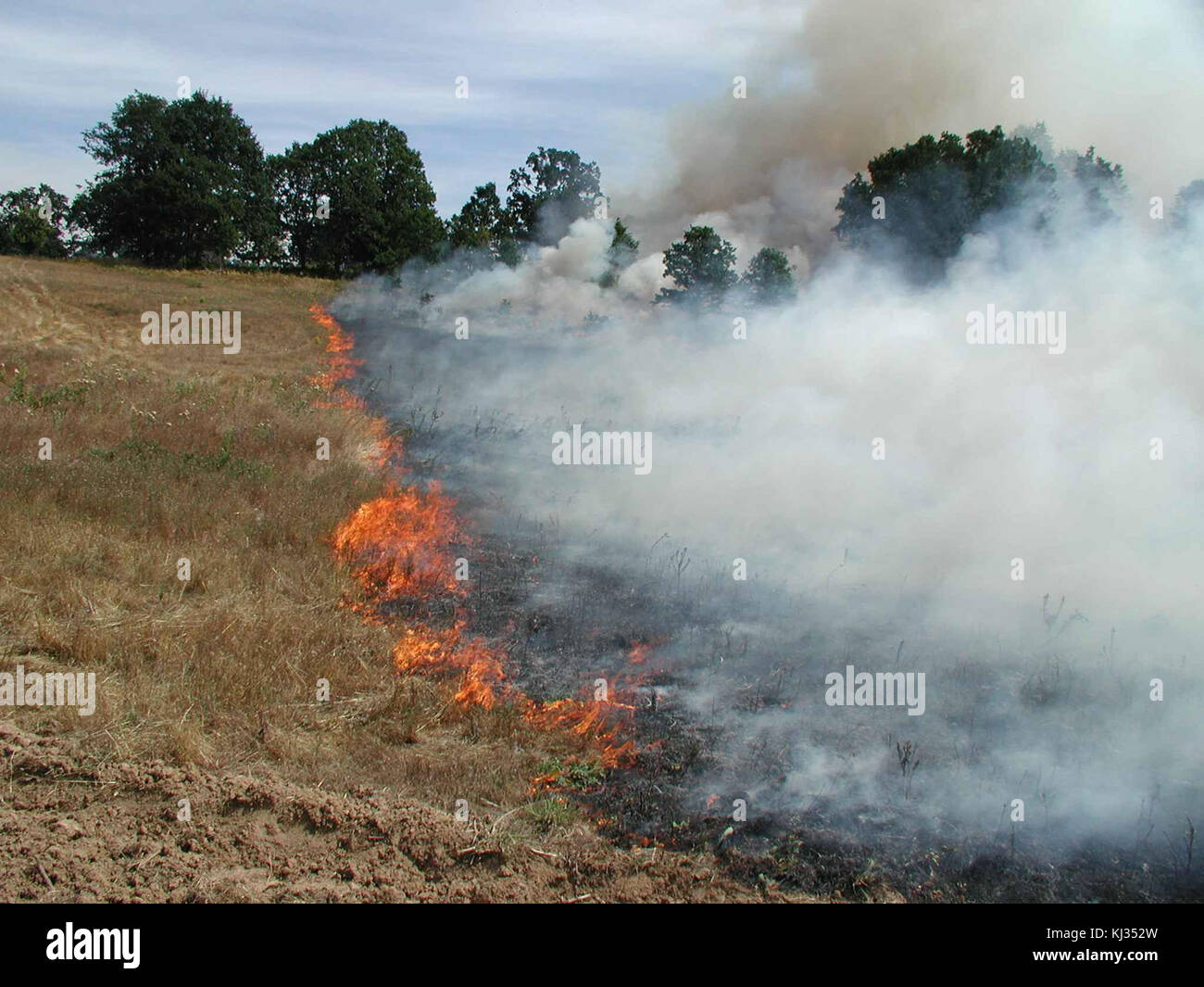 Summer fire low field vegetation in flames Stock Photo - Alamy