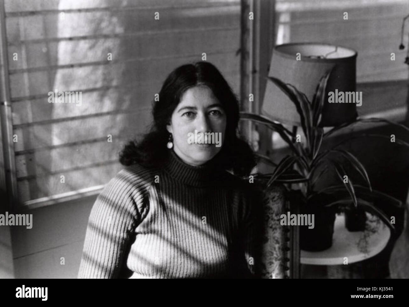 Rosellen hi-res stock photography and images - Alamy