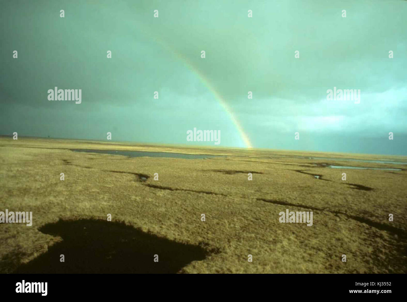 Summer rainbow in swamp over lakes Stock Photo - Alamy