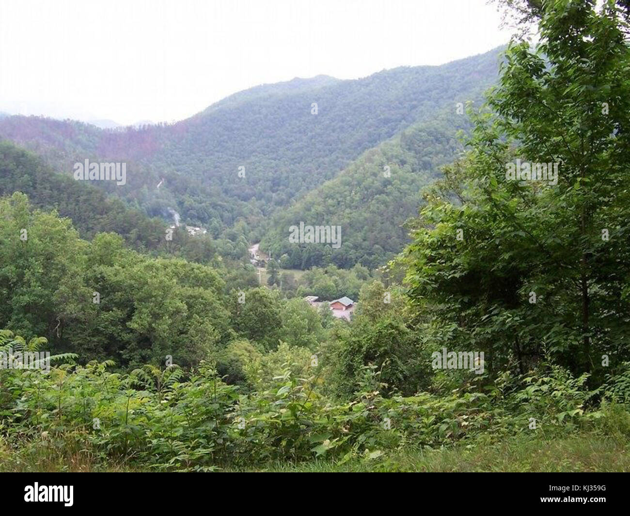 Green spring landscape Stock Photo - Alamy