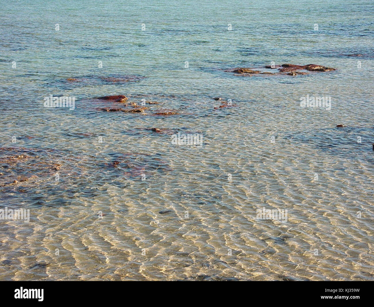 Shallow freshwater habitats hi-res stock photography and images - Alamy