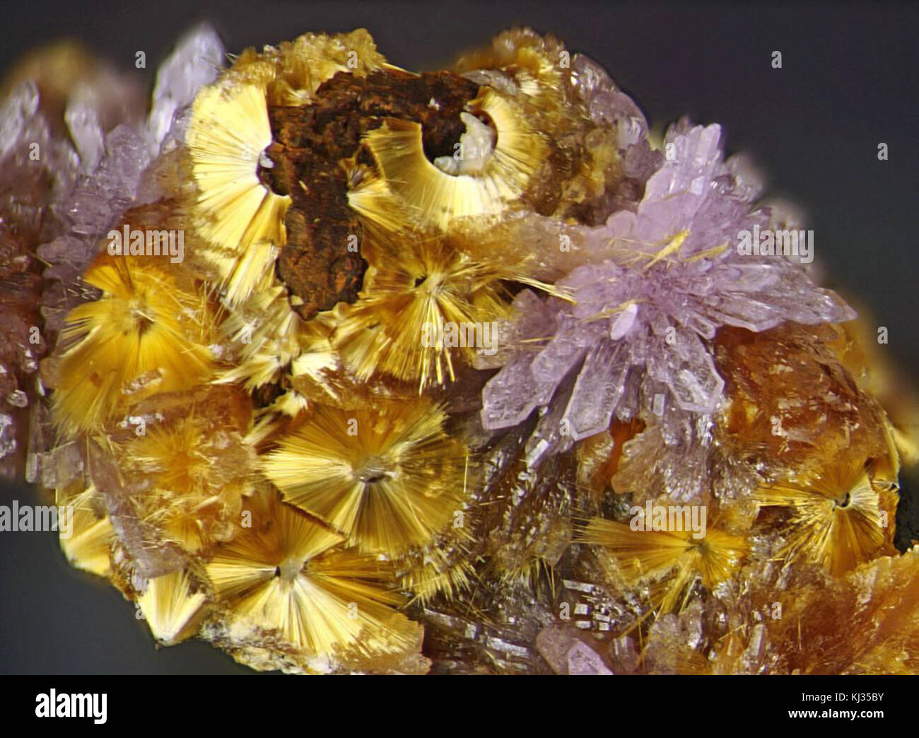 Cacoxenite hi-res stock photography and images - Alamy