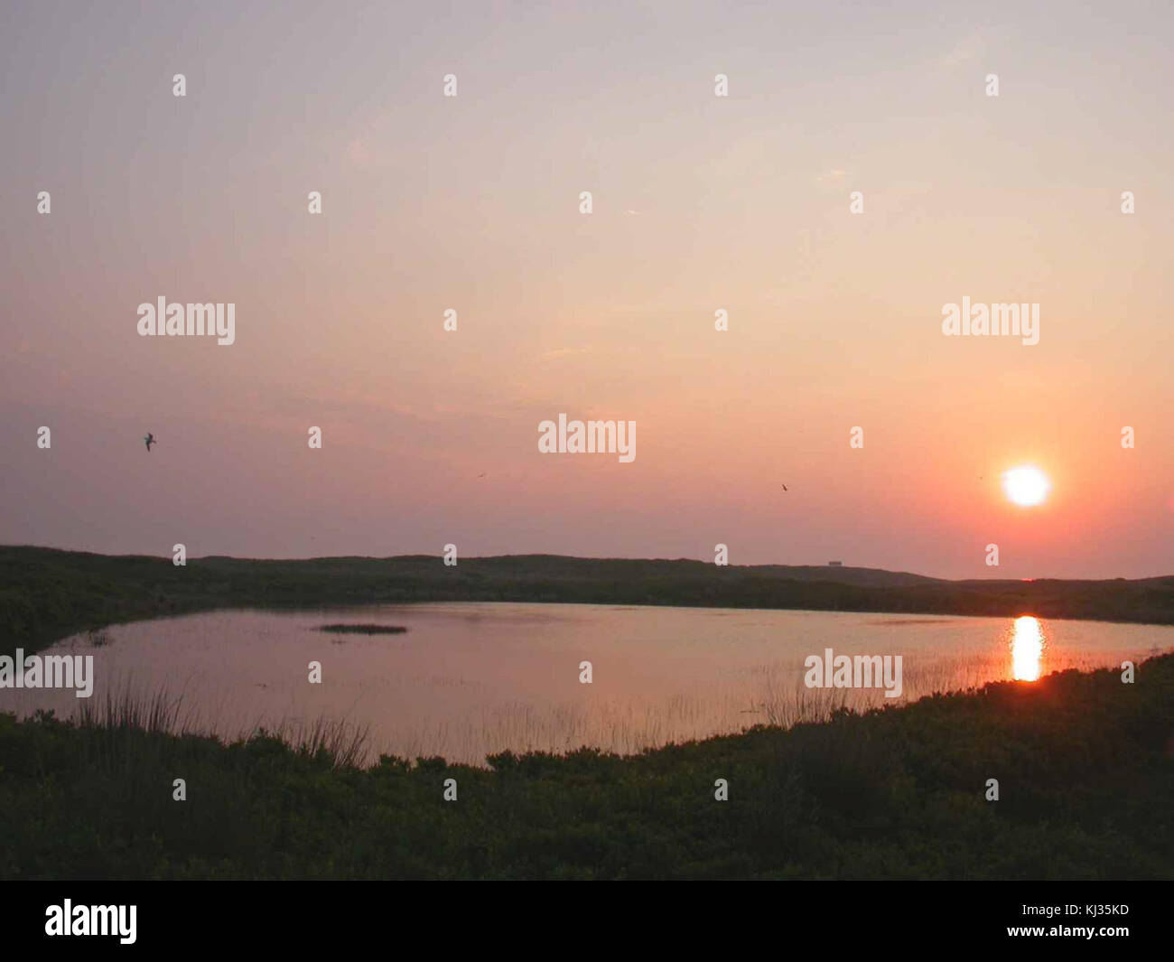 Nomans land island hi-res stock photography and images - Alamy