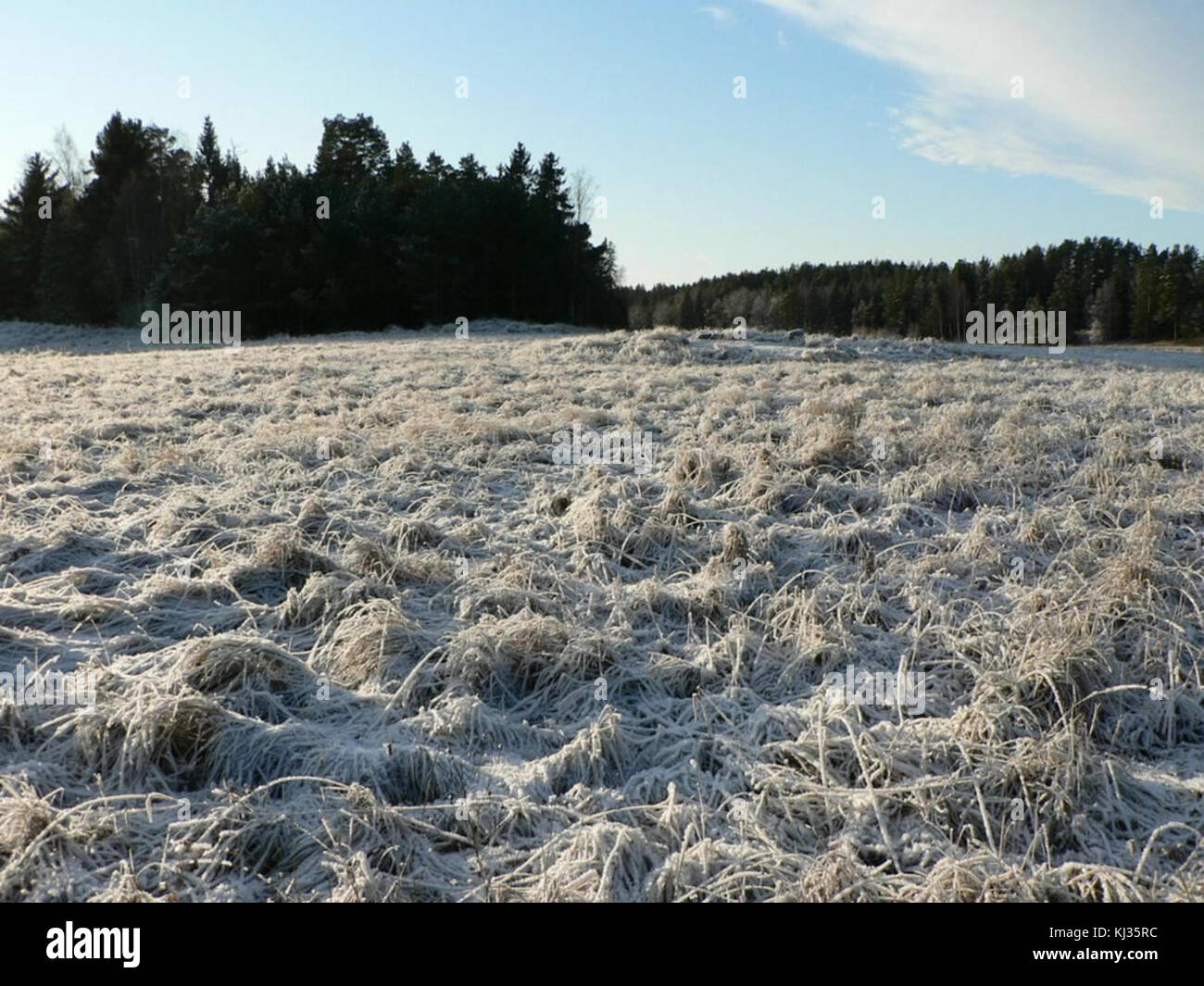 Frost on field Stock Photo - Alamy