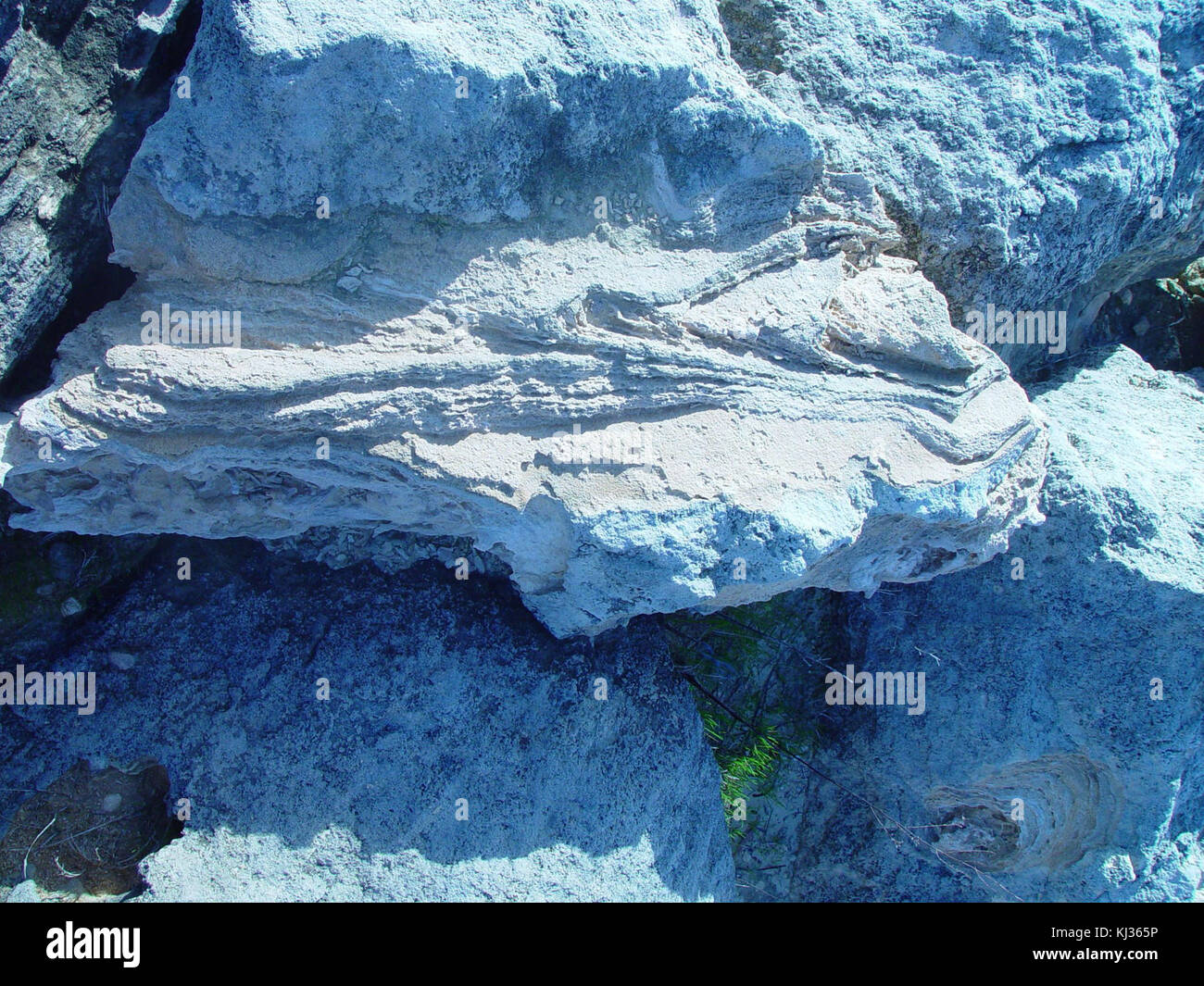 Limestone varieties hi-res stock photography and images - Alamy
