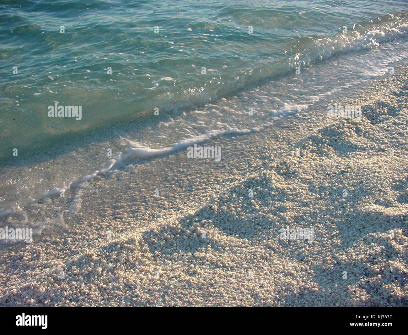 Waves lapping on shell beach Stock Photo - Alamy