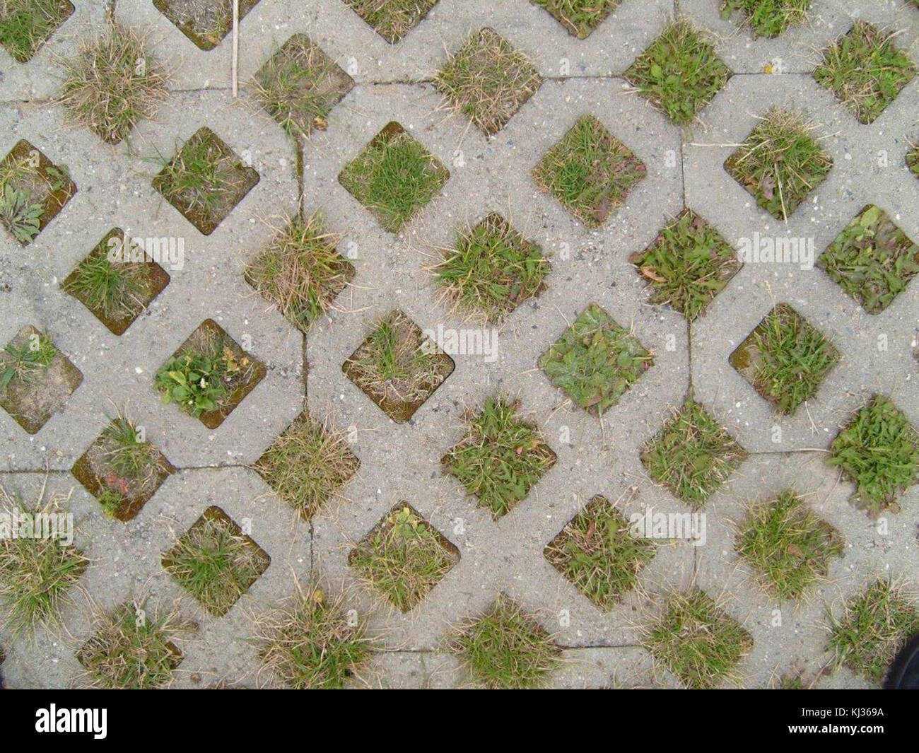 Grass paver paving Stock Photo - Alamy