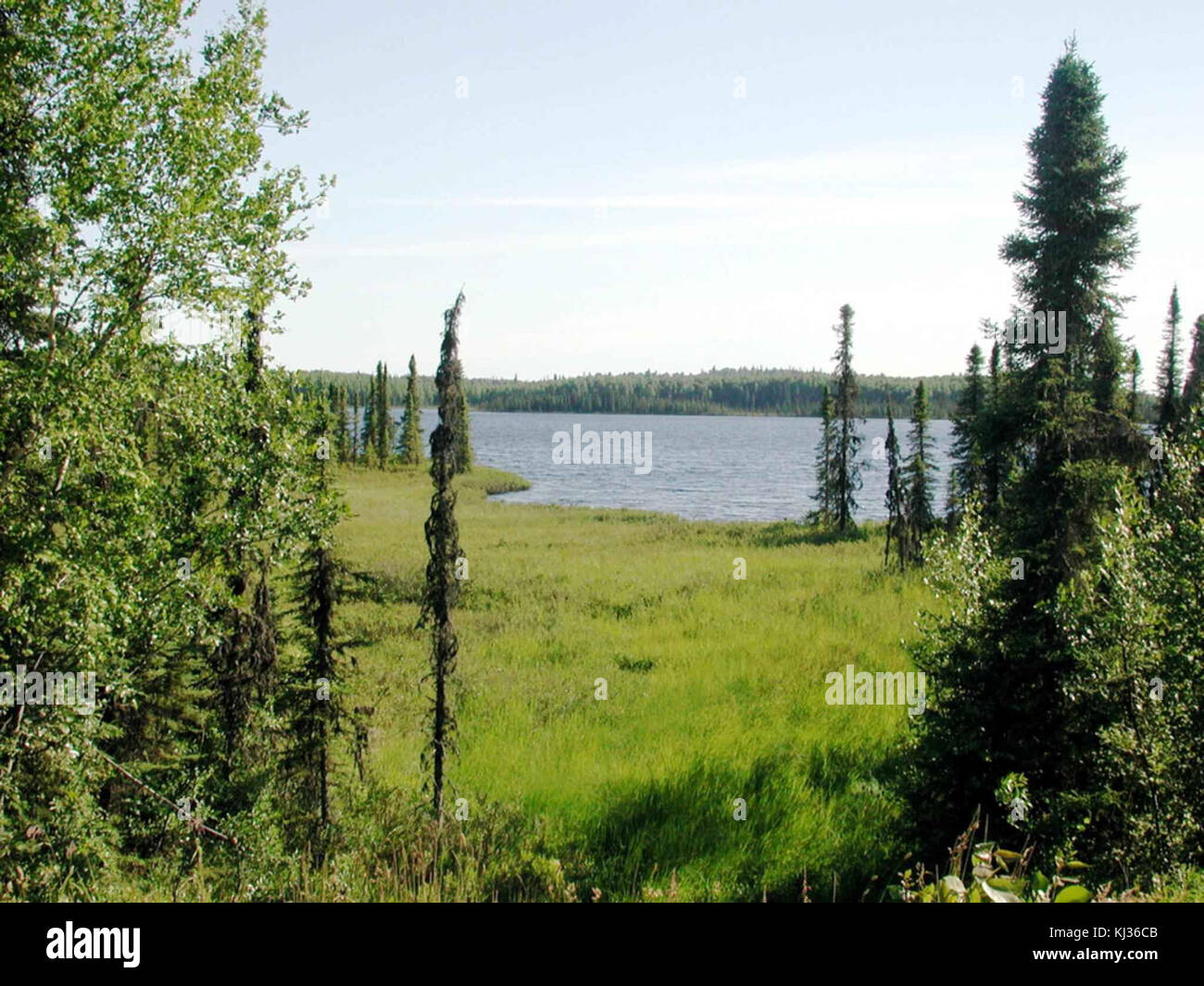 Tanaina hi-res stock photography and images - Alamy