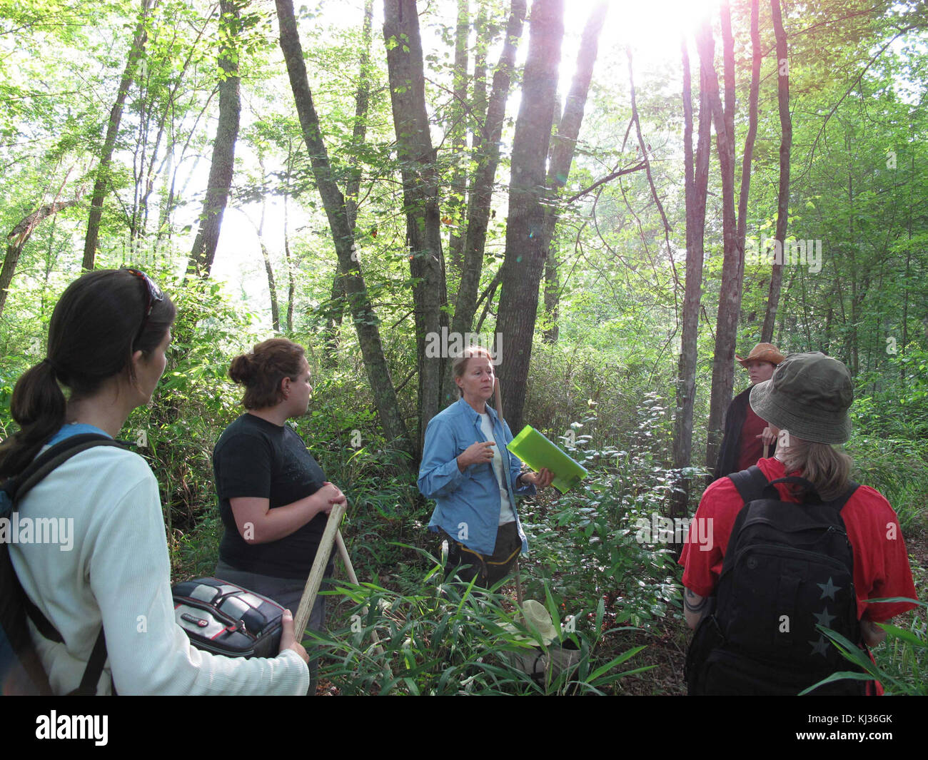 Team discussing in forest Stock Photo - Alamy