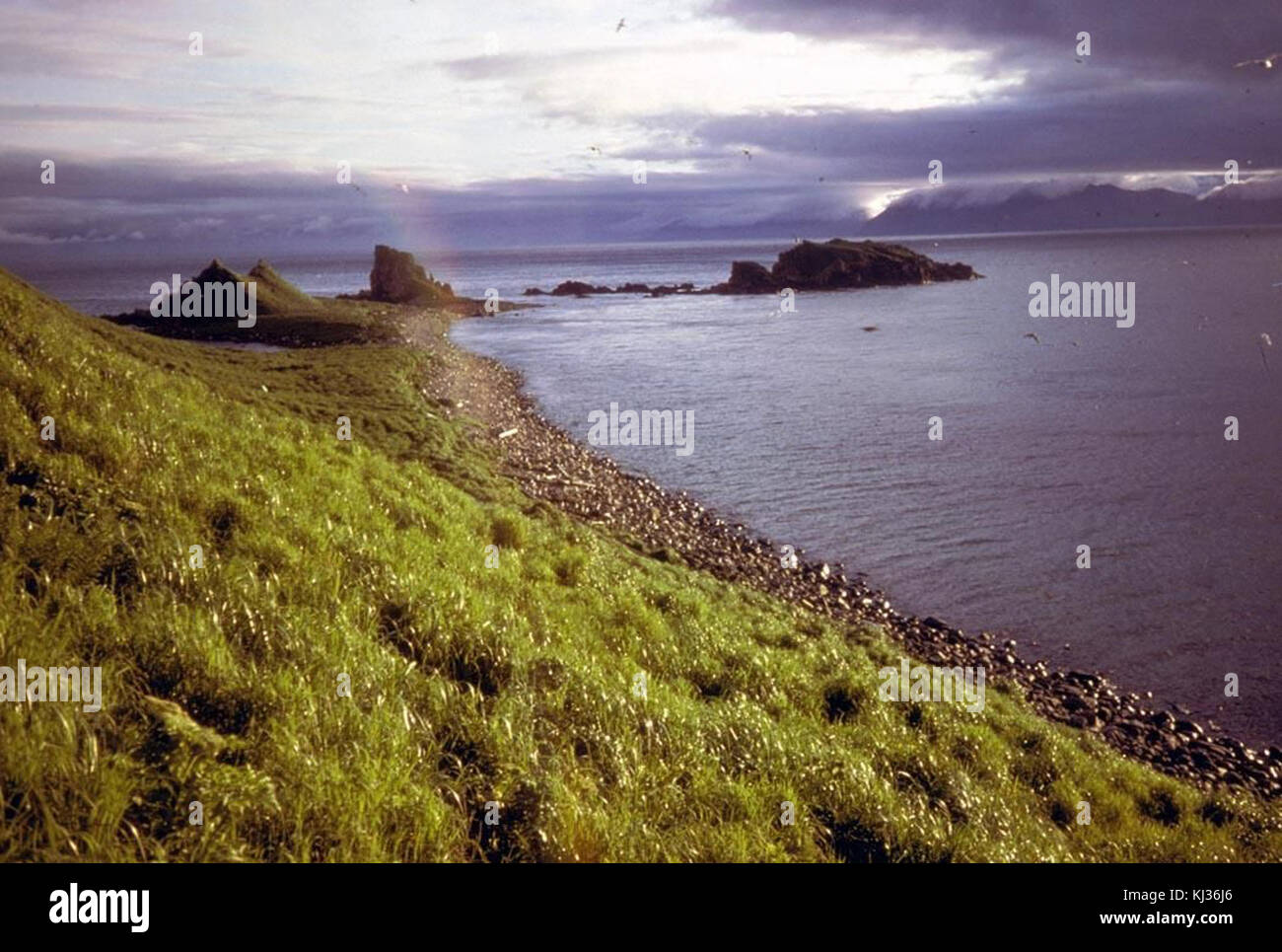 Amagat island nature Stock Photo - Alamy