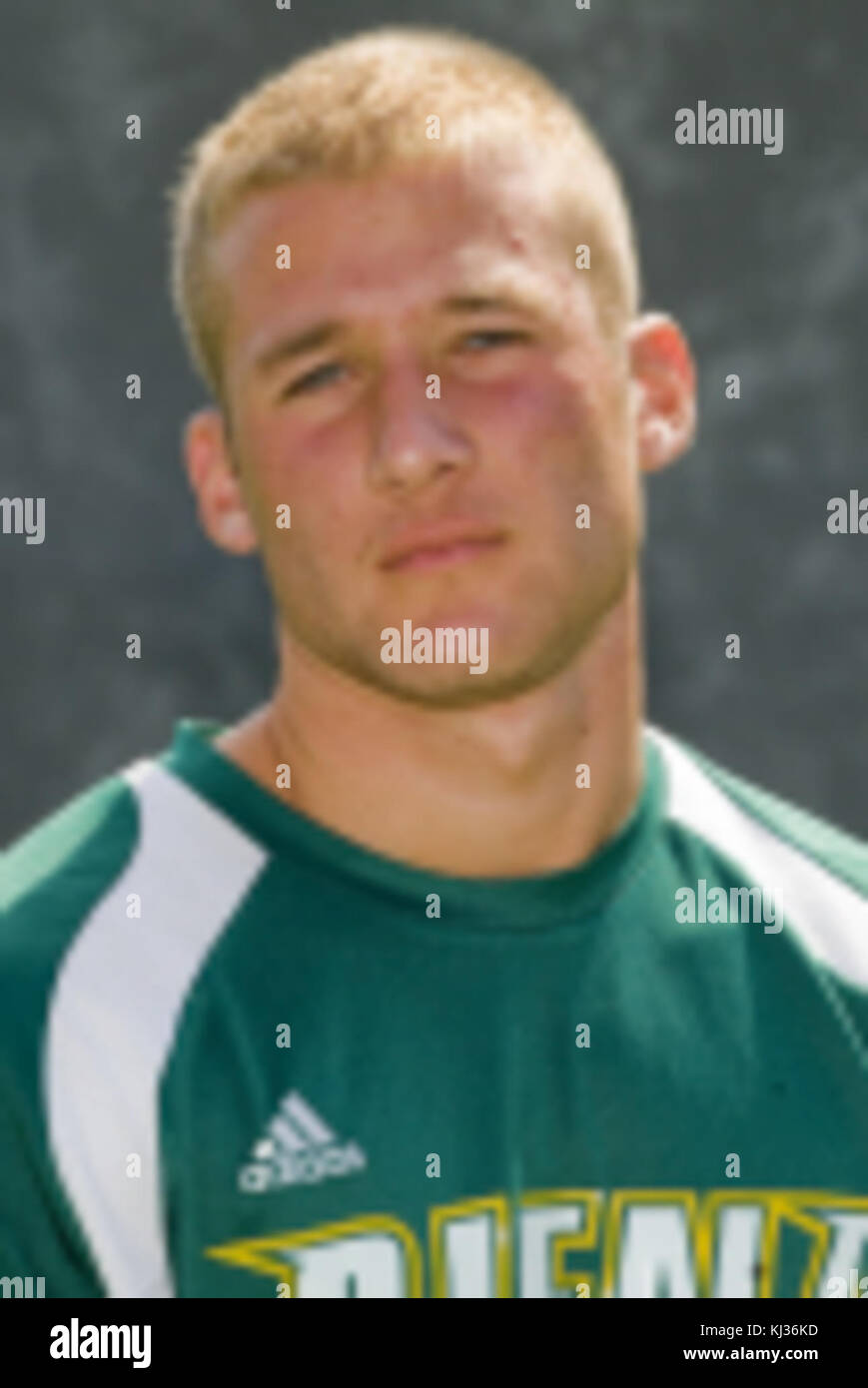 Joey in the Siena years Stock Photo - Alamy
