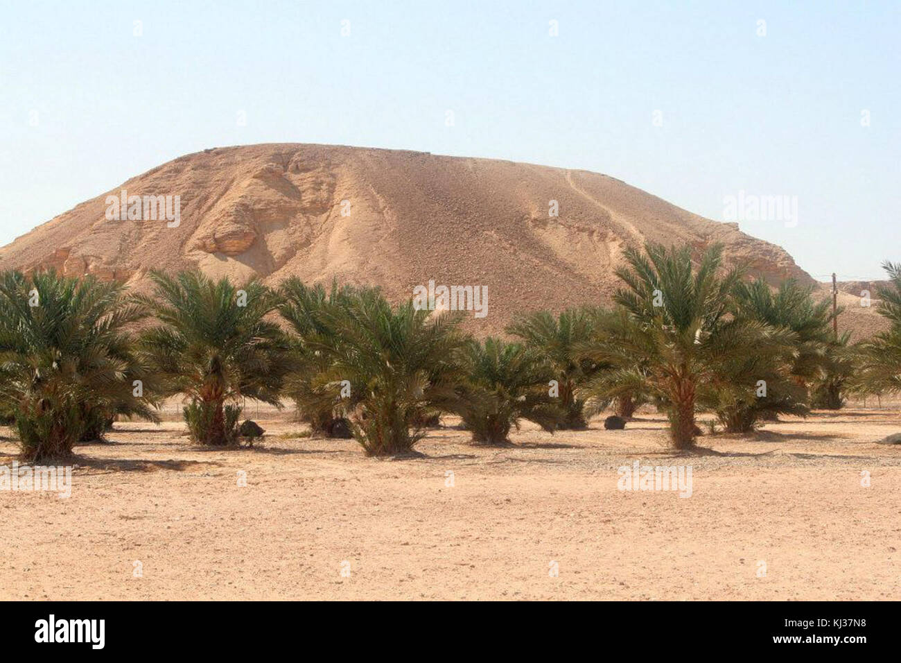 Israel 34359 Moshav Zofar Stock Photo - Alamy