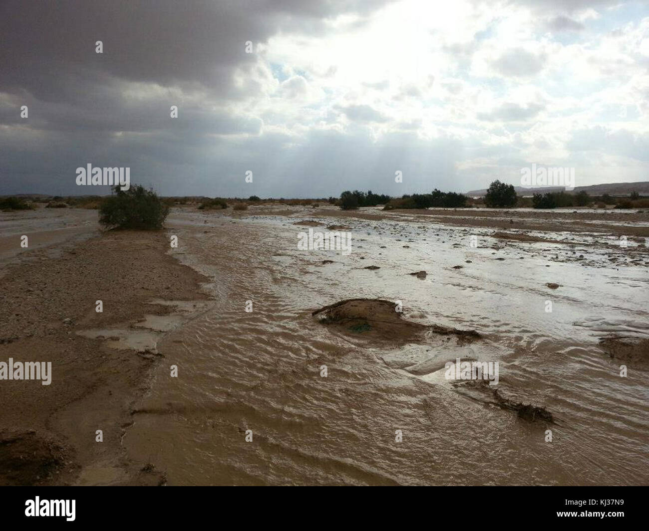 Zofar hi-res stock photography and images - Alamy