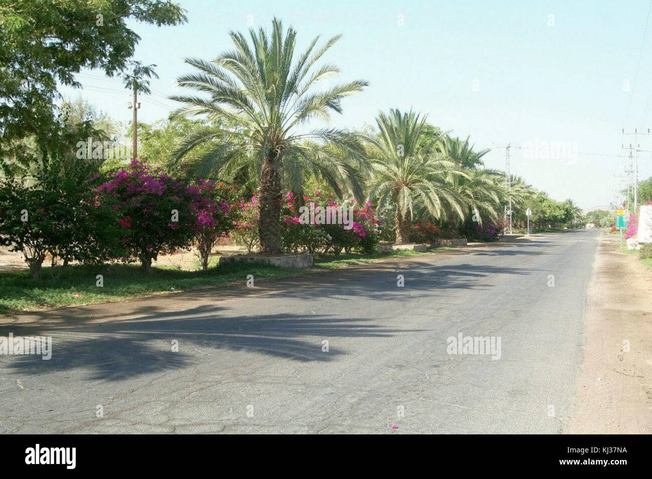 Zofar hi-res stock photography and images - Alamy