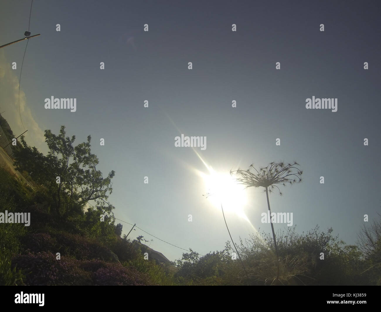 Israel 36589 Nature and Colors Stock Photo - Alamy