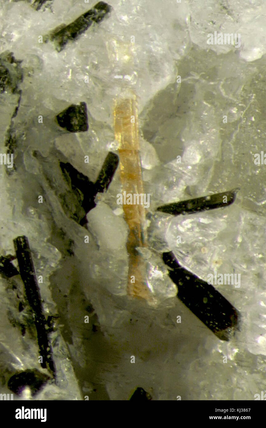 Lamprophyllite hi-res stock photography and images - Alamy