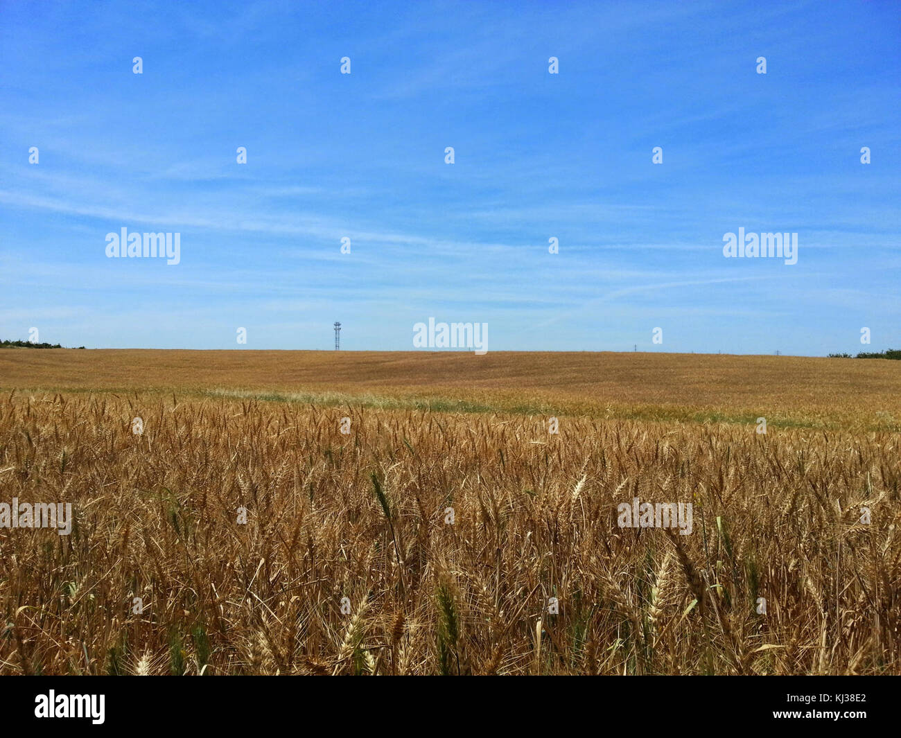 Agriculture In Israel Stock Photos & Agriculture In Israel Stock Images ...