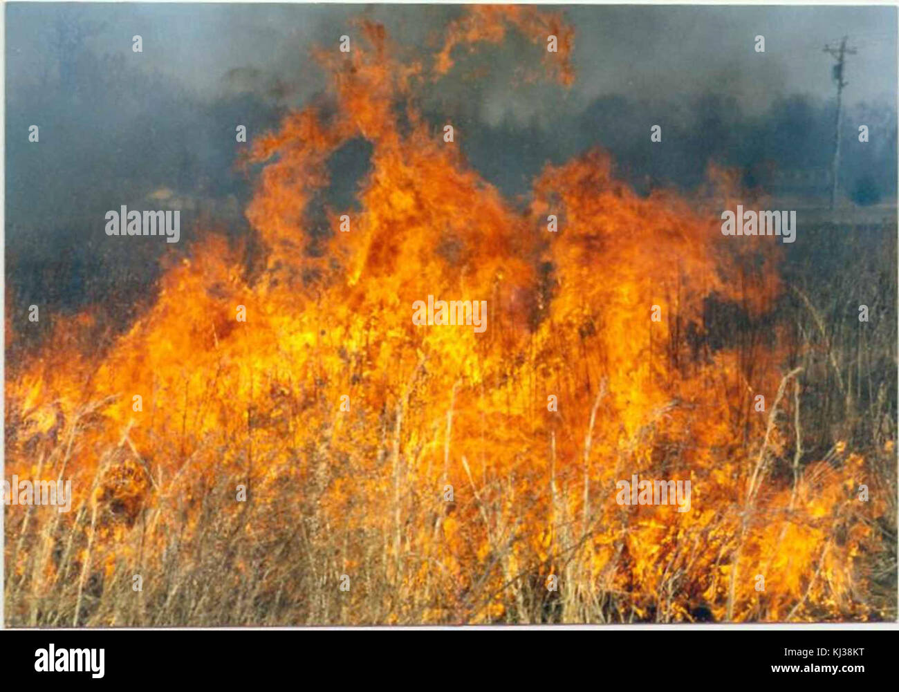 Big fire burning big fire flames Stock Photo - Alamy