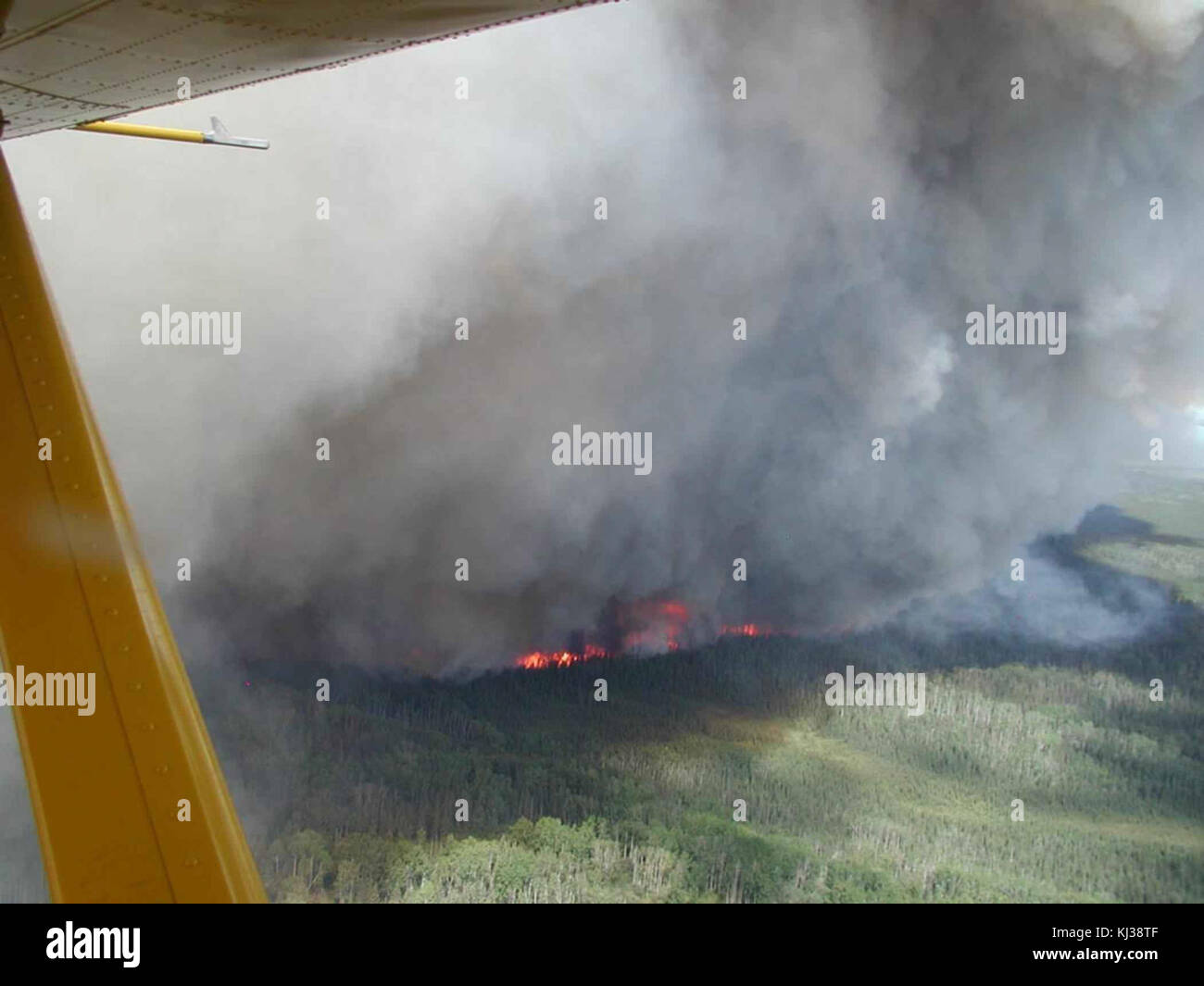 Big forest fire from plane Stock Photo - Alamy