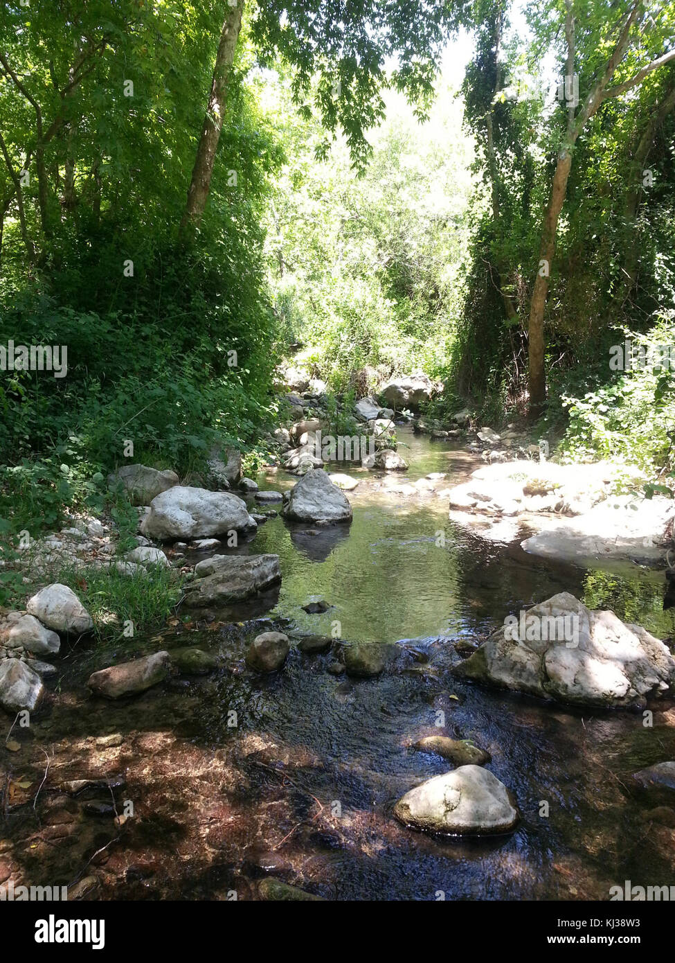 Israel 40267 Geography of Israel Stock Photo - Alamy
