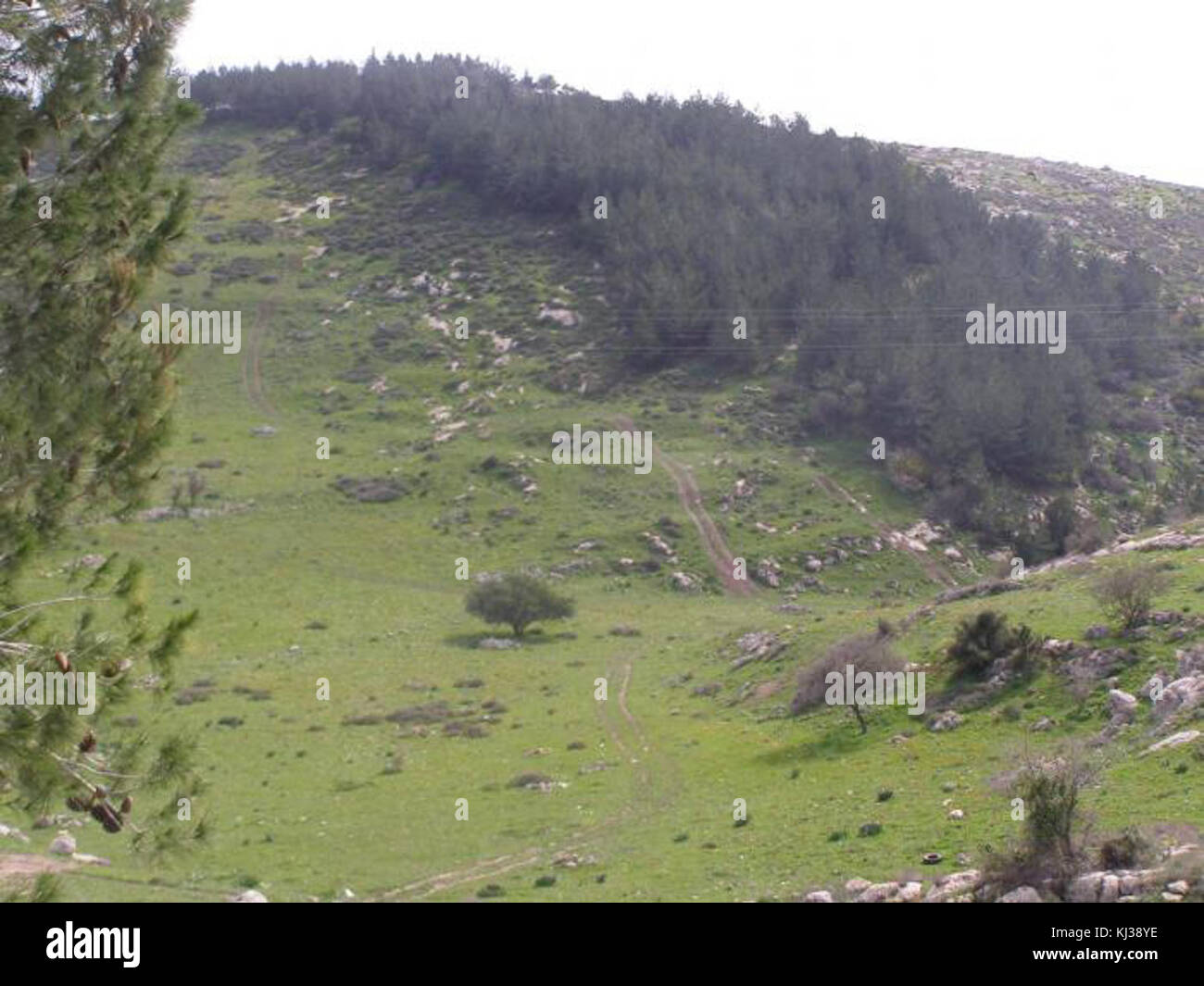 Israel 2360 Geography of Israel Stock Photo - Alamy