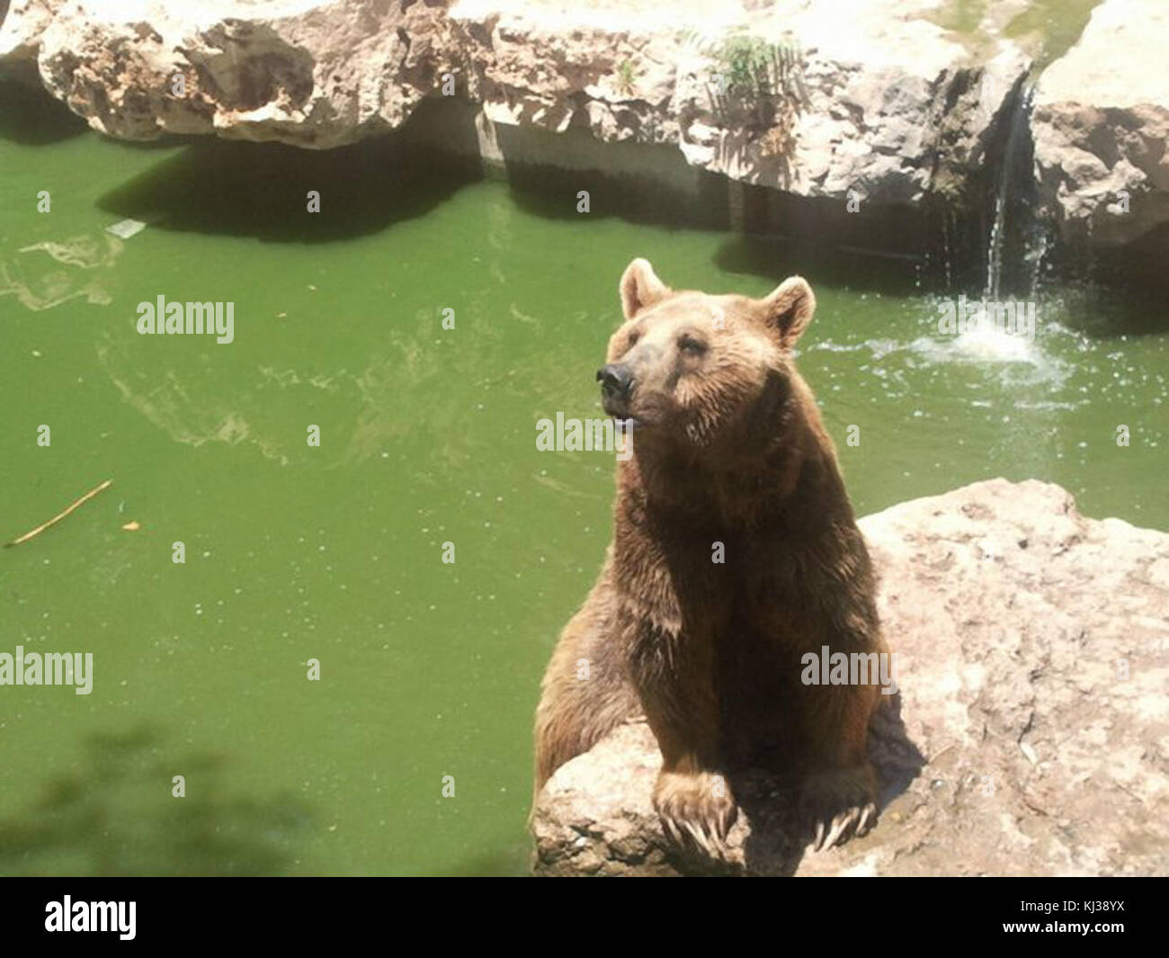 17324 hi-res stock photography and images - Alamy