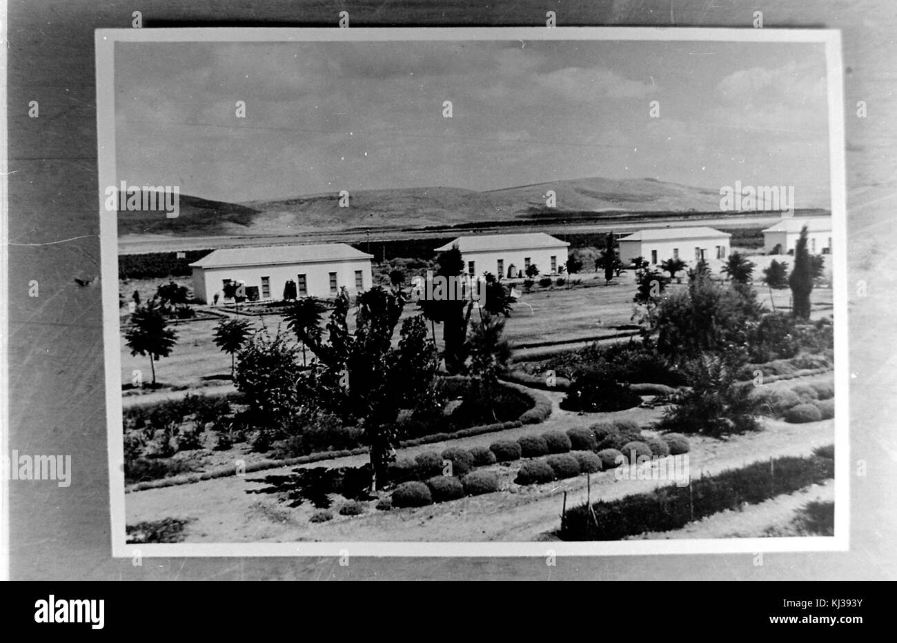 Israel 13996 Kibbutz Kfar masaryk Stock Photo - Alamy