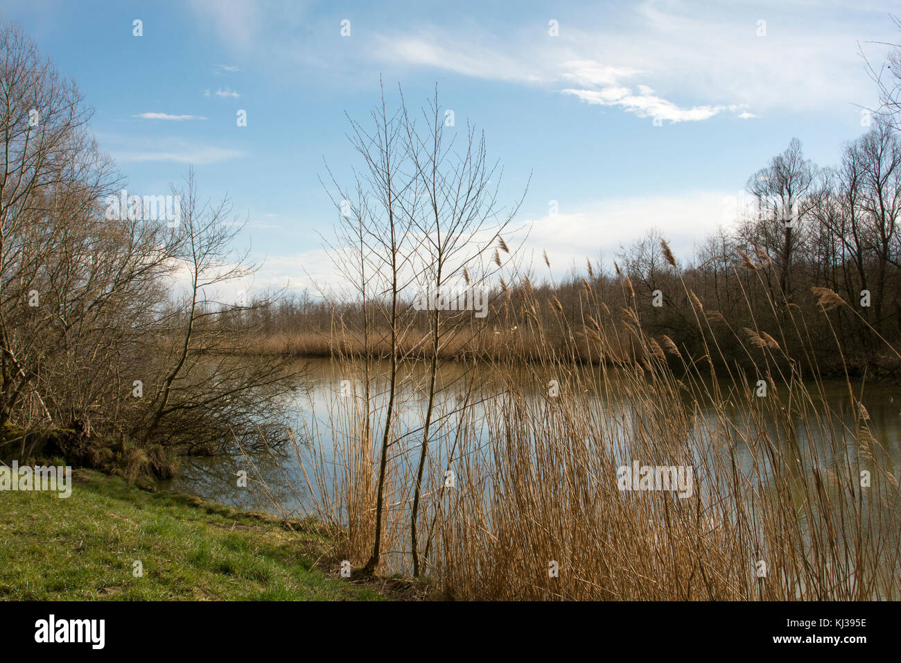 Rietzer See (Lake Rietz) is a nature reserve near the town of ...