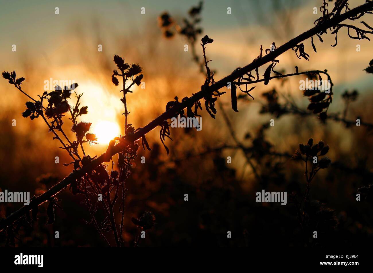 Earth Portal Official Stock Photo - Alamy
