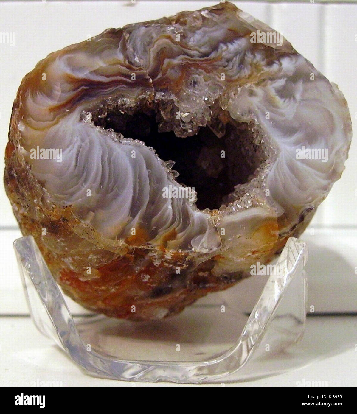 Banded varieties hi-res stock photography and images - Alamy