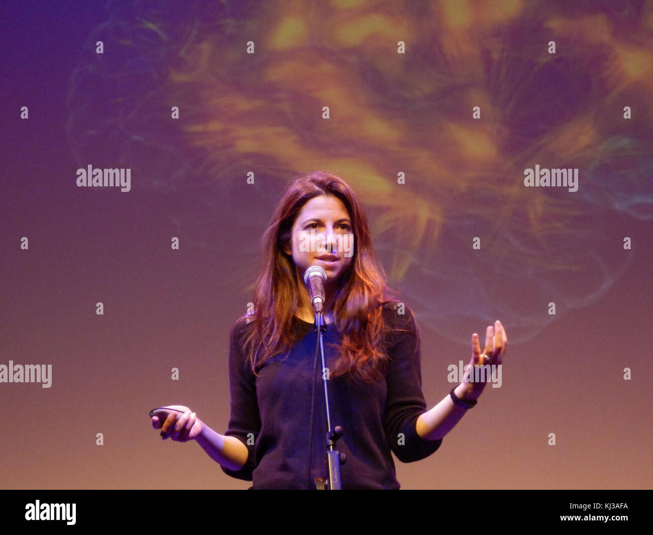 Heather Berlin speaking at Bloomsbury Theatre, London, 2014 Stock Photo ...