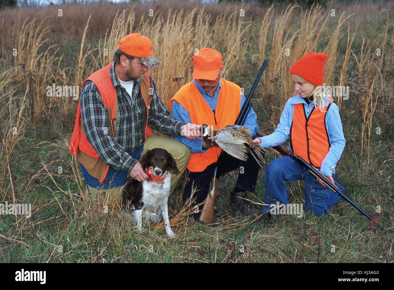 Two men a young girl and a dog hunt pheasant together Stock Photo - Alamy