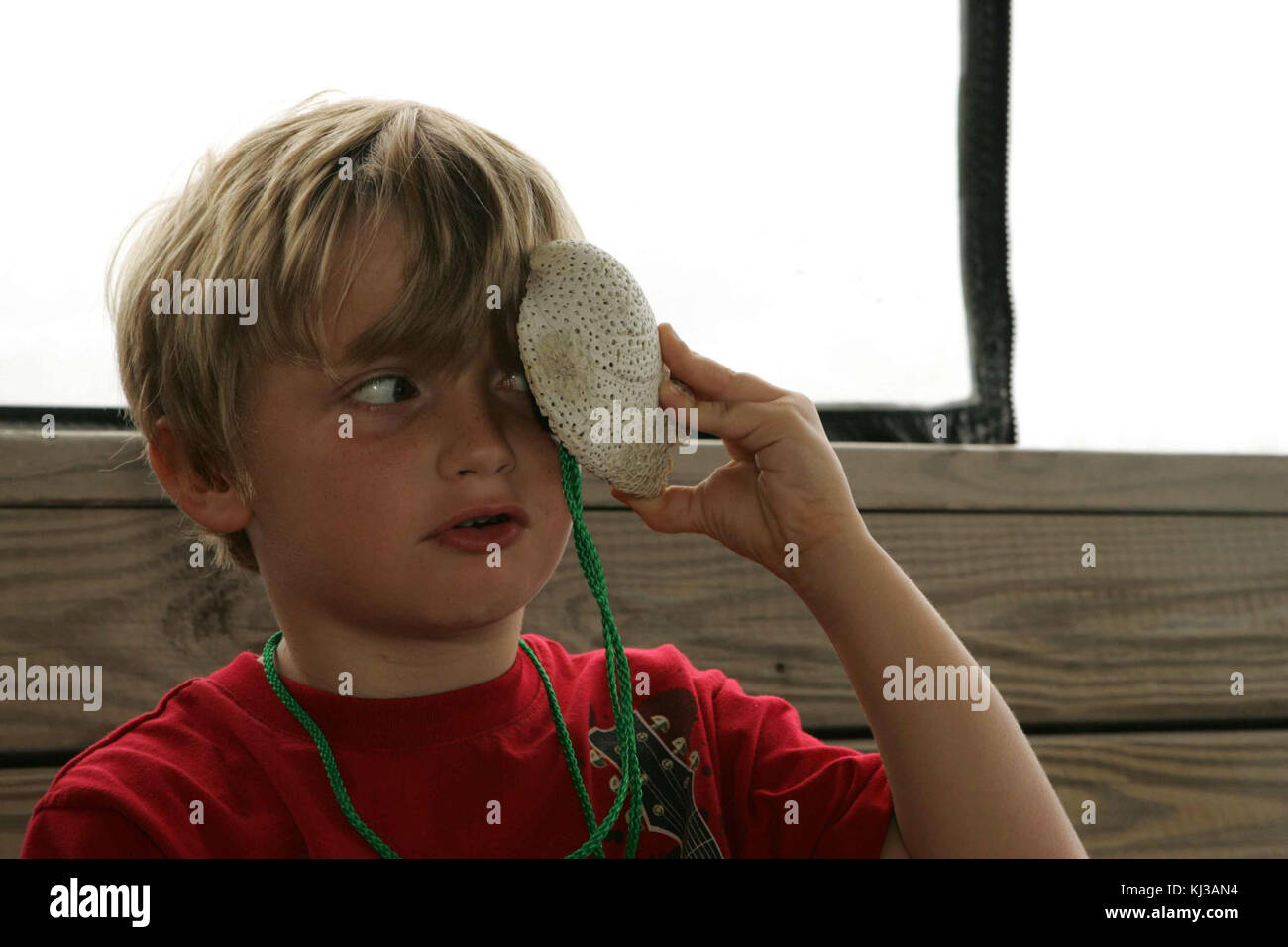 Adorable young boy looking at sea shells Stock Photo - Alamy