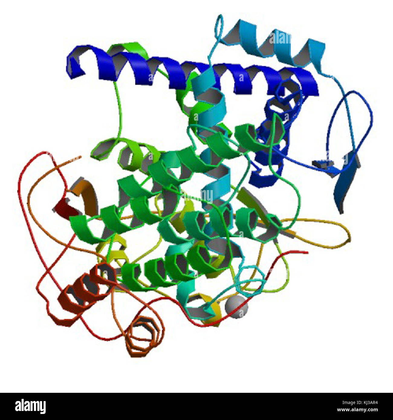 Nucleoprotein hi-res stock photography and images - Alamy